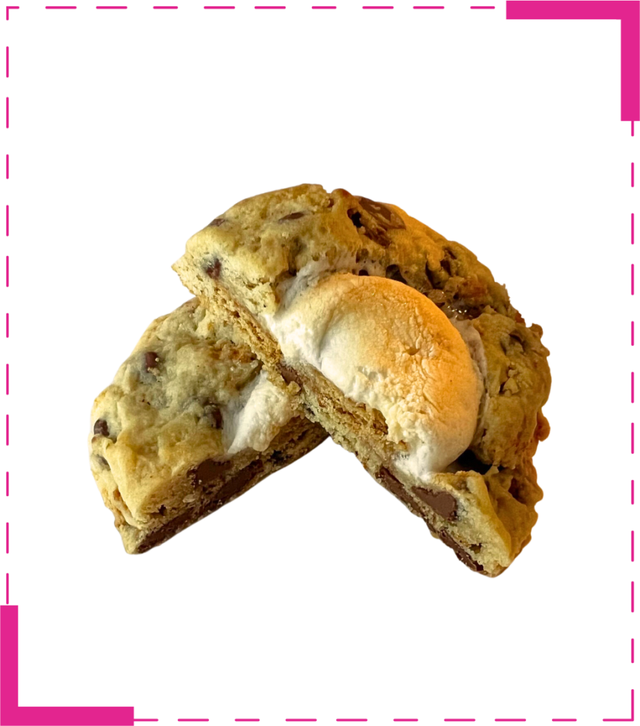 SnaxCo – Unexpected Snacking